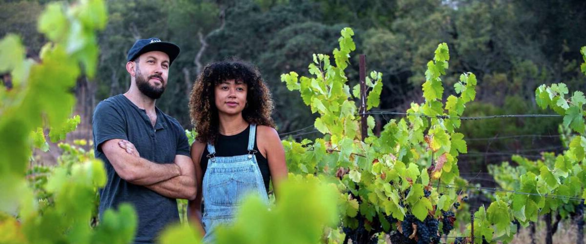 Exploring the Finest Wines of Wheat Ridge, Colorado